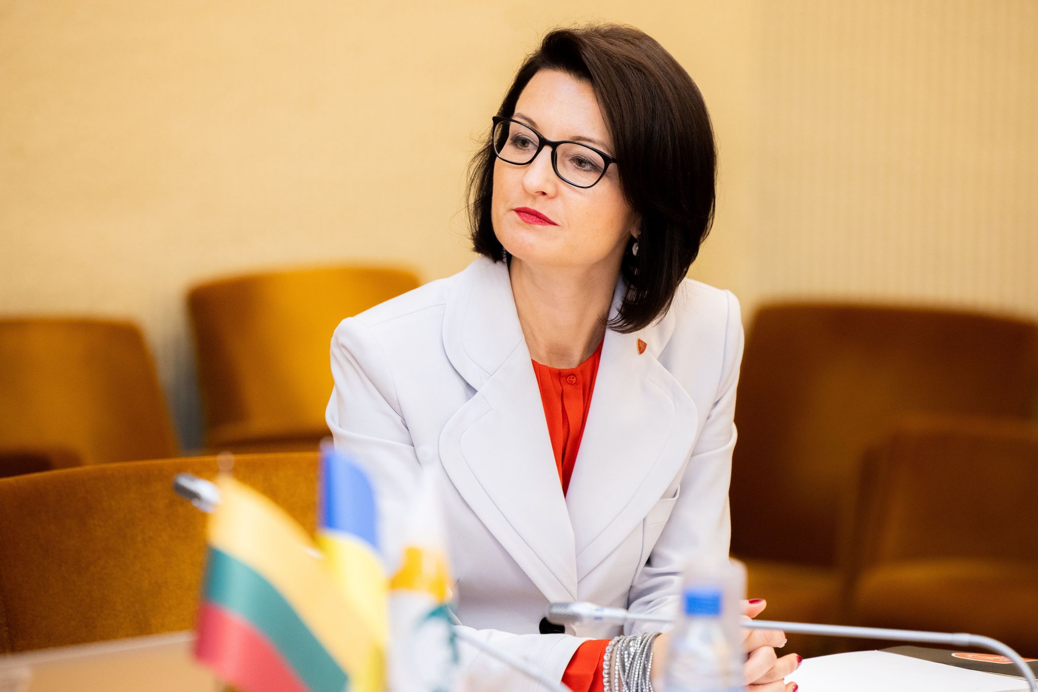 Referendumui dėl pilietybės išsaugojimo artėjant – ką svarbu žinoti ...